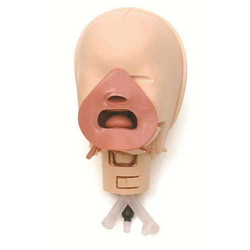 Laerdal Replacement Head for ALS Baby – Workday Safety